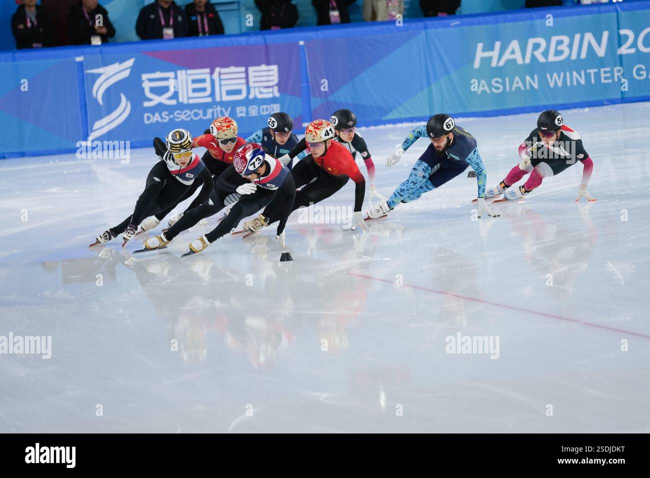 Harbin,China.8th February 2025. Gong Li #3 of China and Liu Shaoang #41 ...