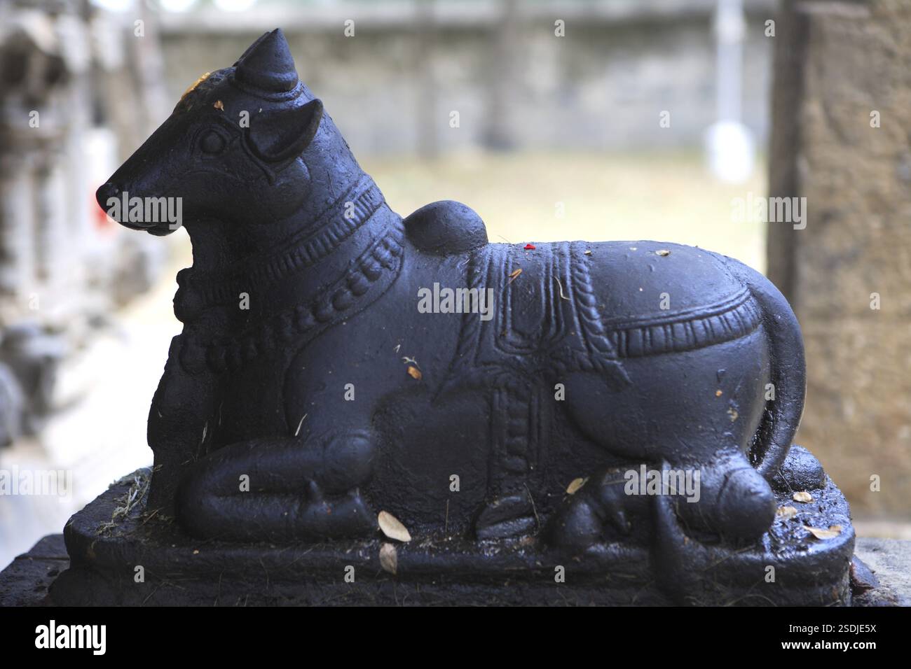 Idol of lord Nandi at Swargeshwara temple, chola period, district ...