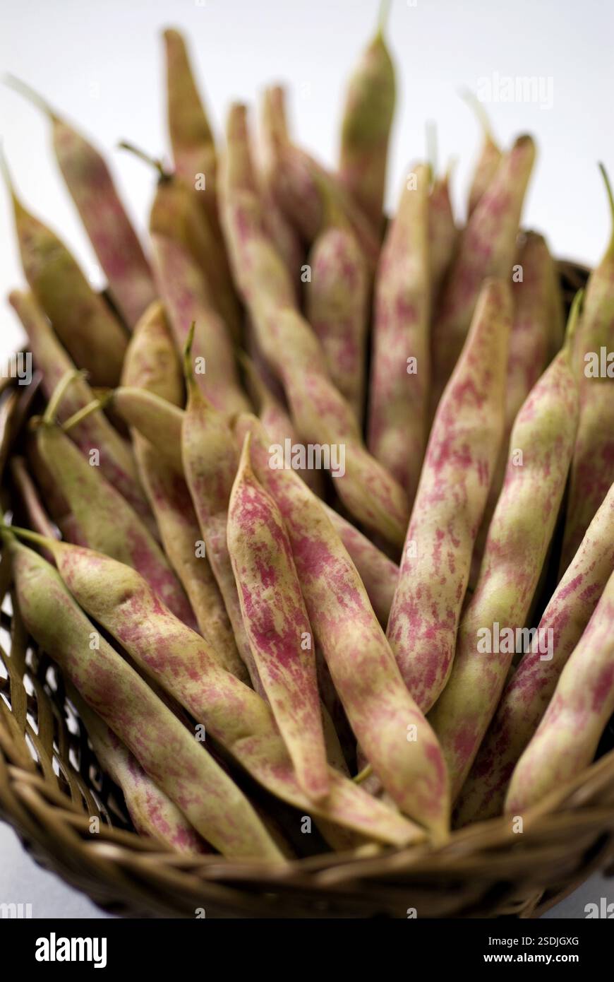 Rajma beans in round wooden bowl pods cream and dark pink legume ...