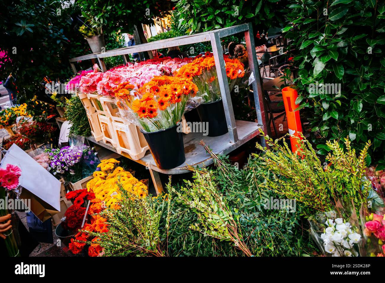 Colorful variety of flowers on flower market in Copenhagen. Gardening ...