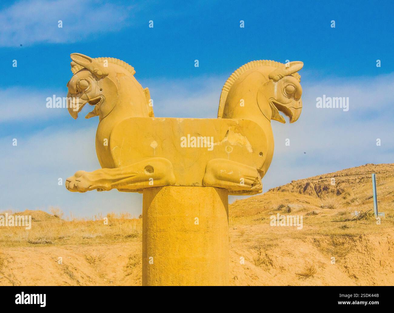 Persepolis, an ancient capital of the kings of the Achaemenian dynasty ...