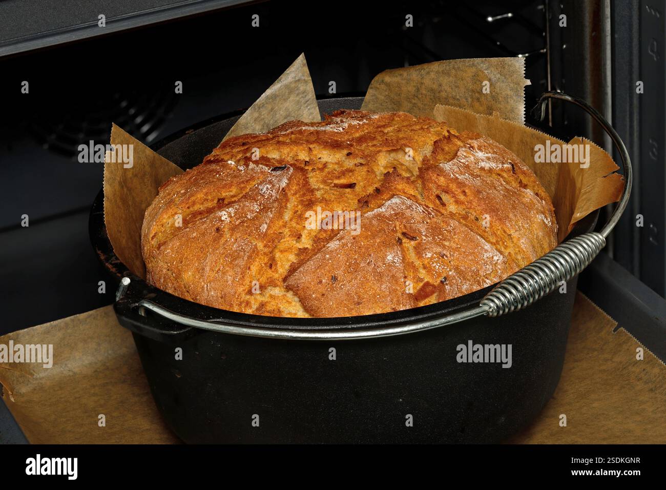 A round loaf of onion bread with a crispy outside on parchment paper in ...