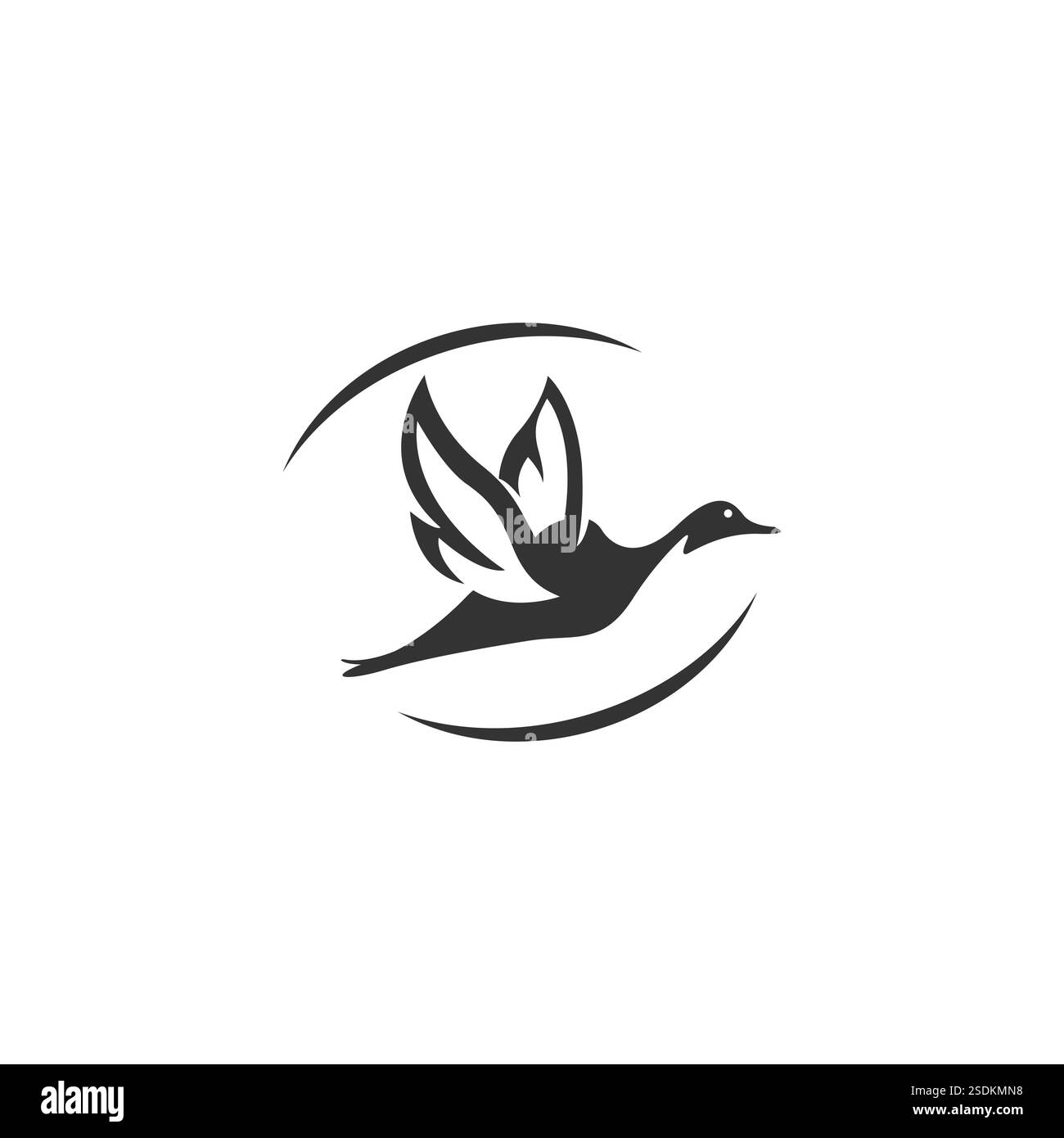 Vector of flying wild duck design on white background. Wild Animals ...