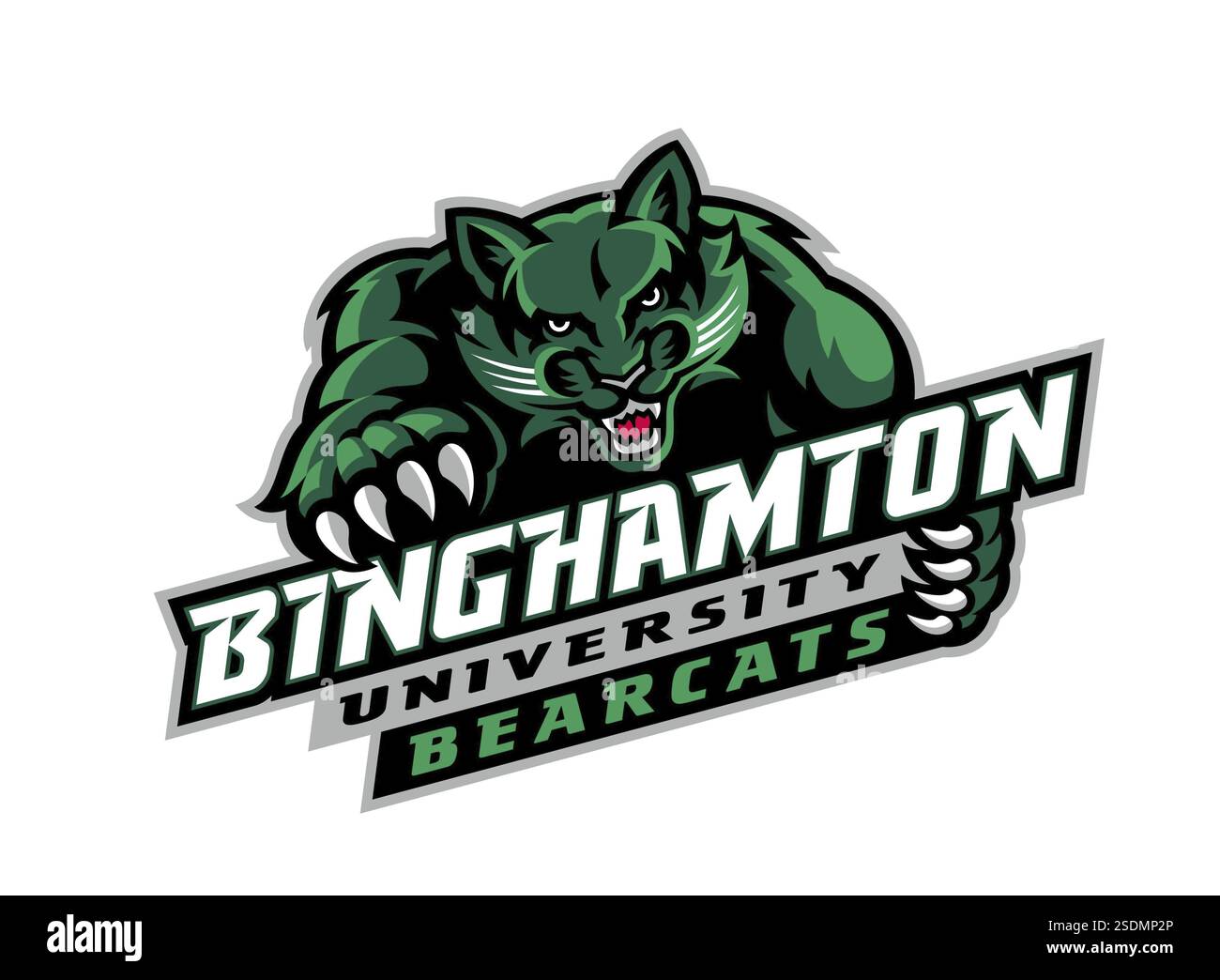 Rotated to left, Binghamton Bearcats logo, American colleges ncaa, Logo ...