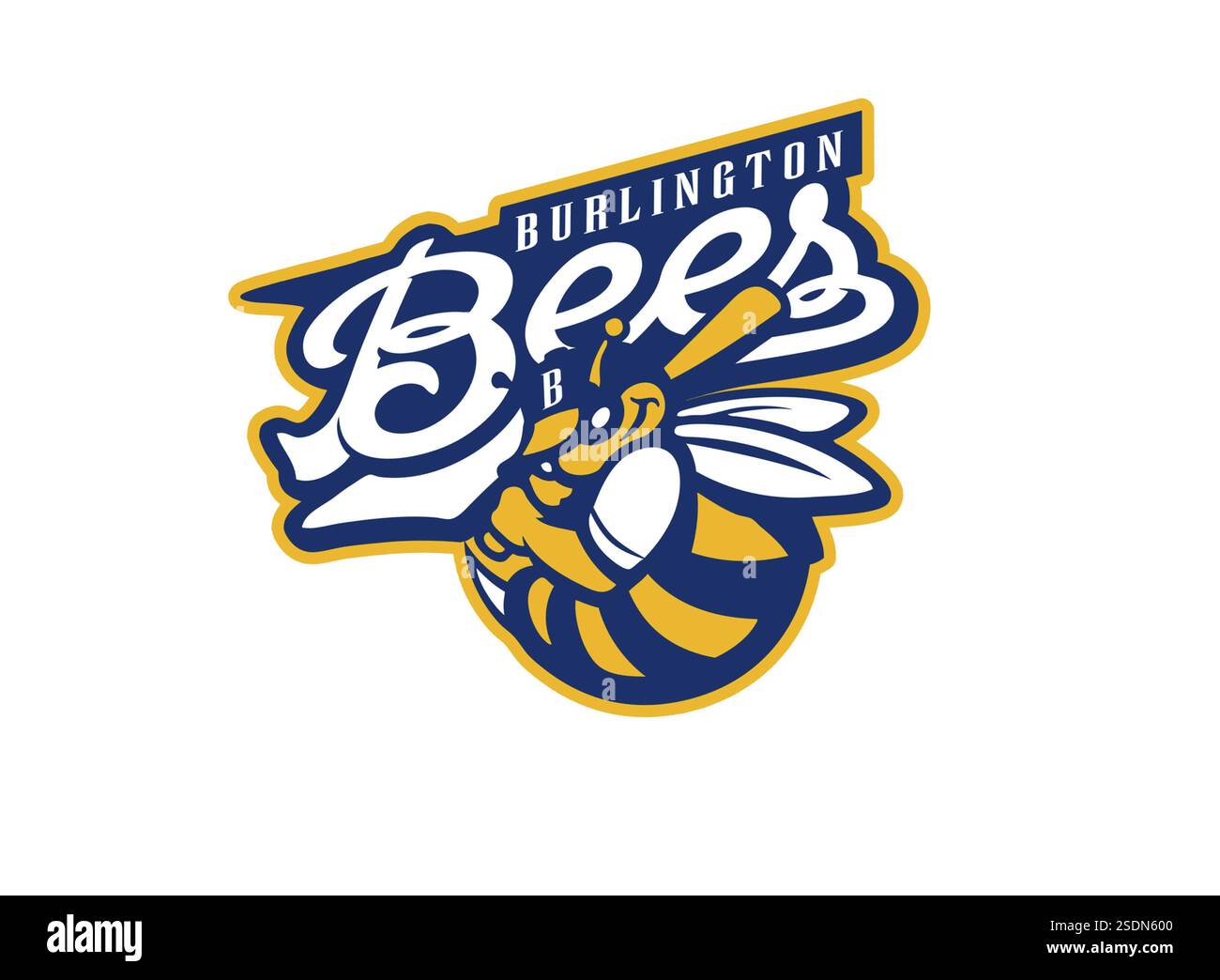 Rotated to left, Burlington Bees Logo, Logo Stock Photo - Alamy