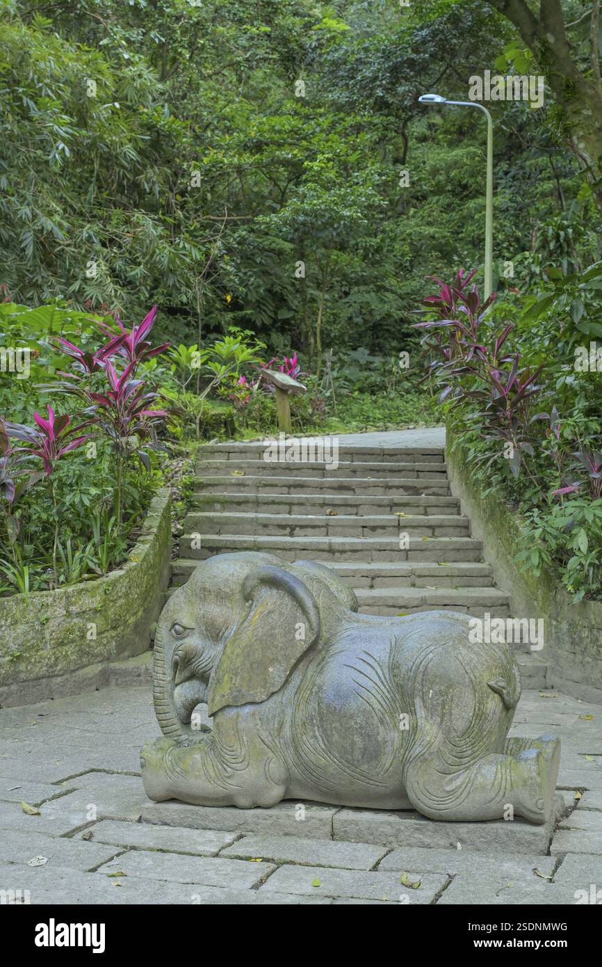 Hiking trail Si-Shou Shan and Xiang Shan, Elephant Trail, Elephant Mountain, Taipei, Taiwan ...