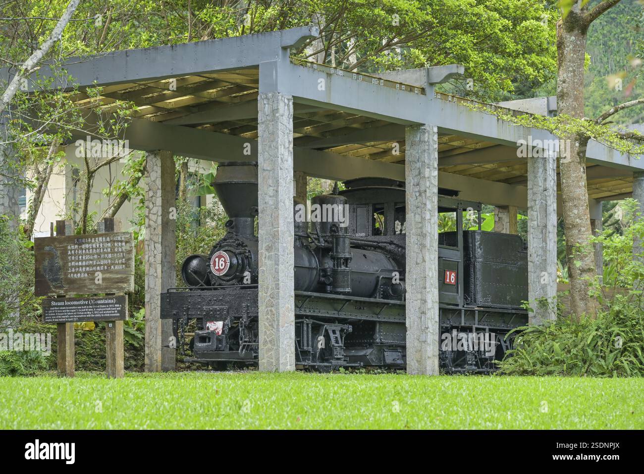 Forest Railway steam locomotive, forest area, Chinan National Forest ...