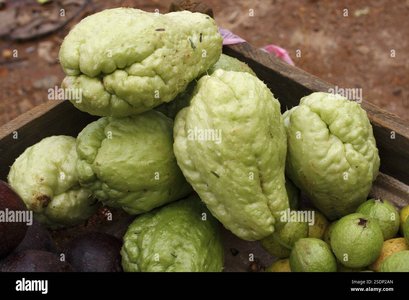 Vegetable, Sri Lanka, Asia Stock Photo - Alamy
