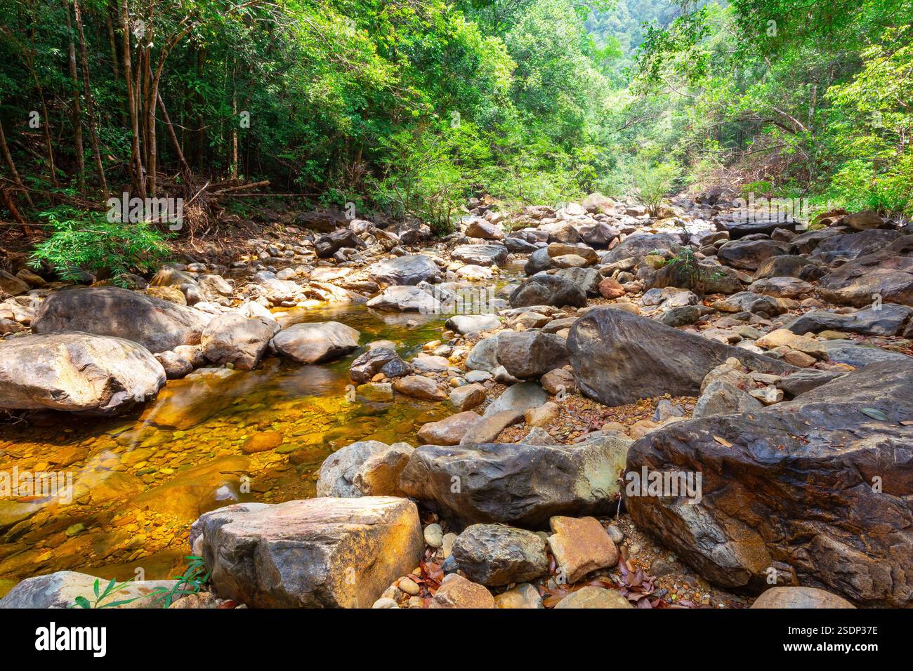 Stream in the tropical jungles of South East Asia Thailand Koh Chang ...