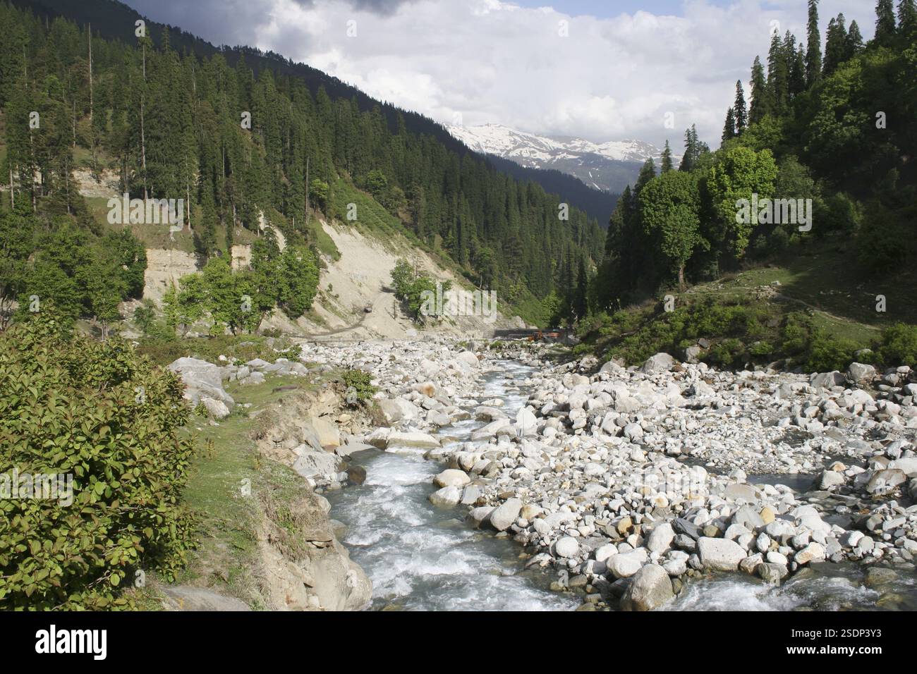 Landscape, Dhundi, Manali, Himachal Pradesh, India, Asia Stock Photo ...