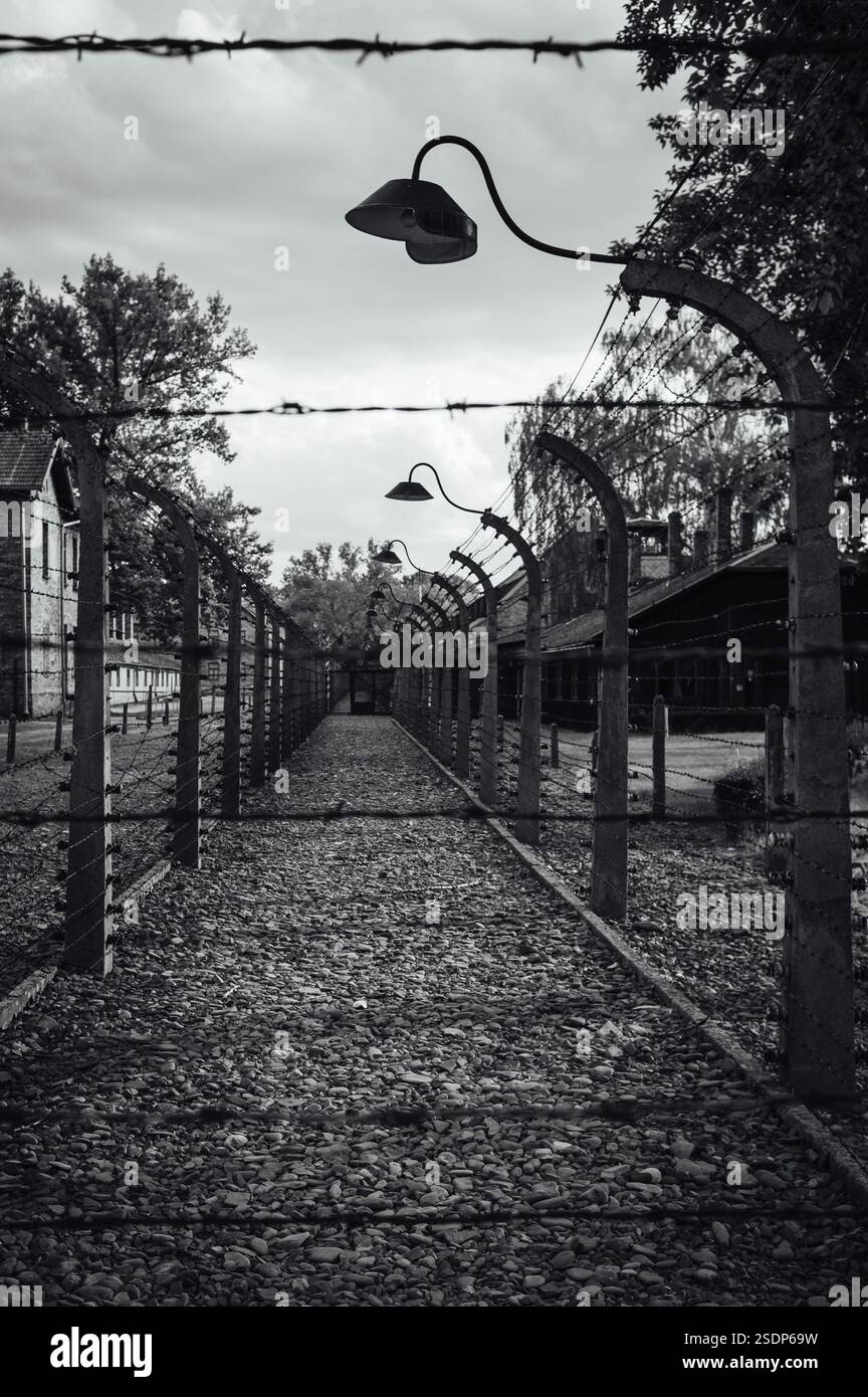 Barbed wire fence in a German concentration camp from World War II ...