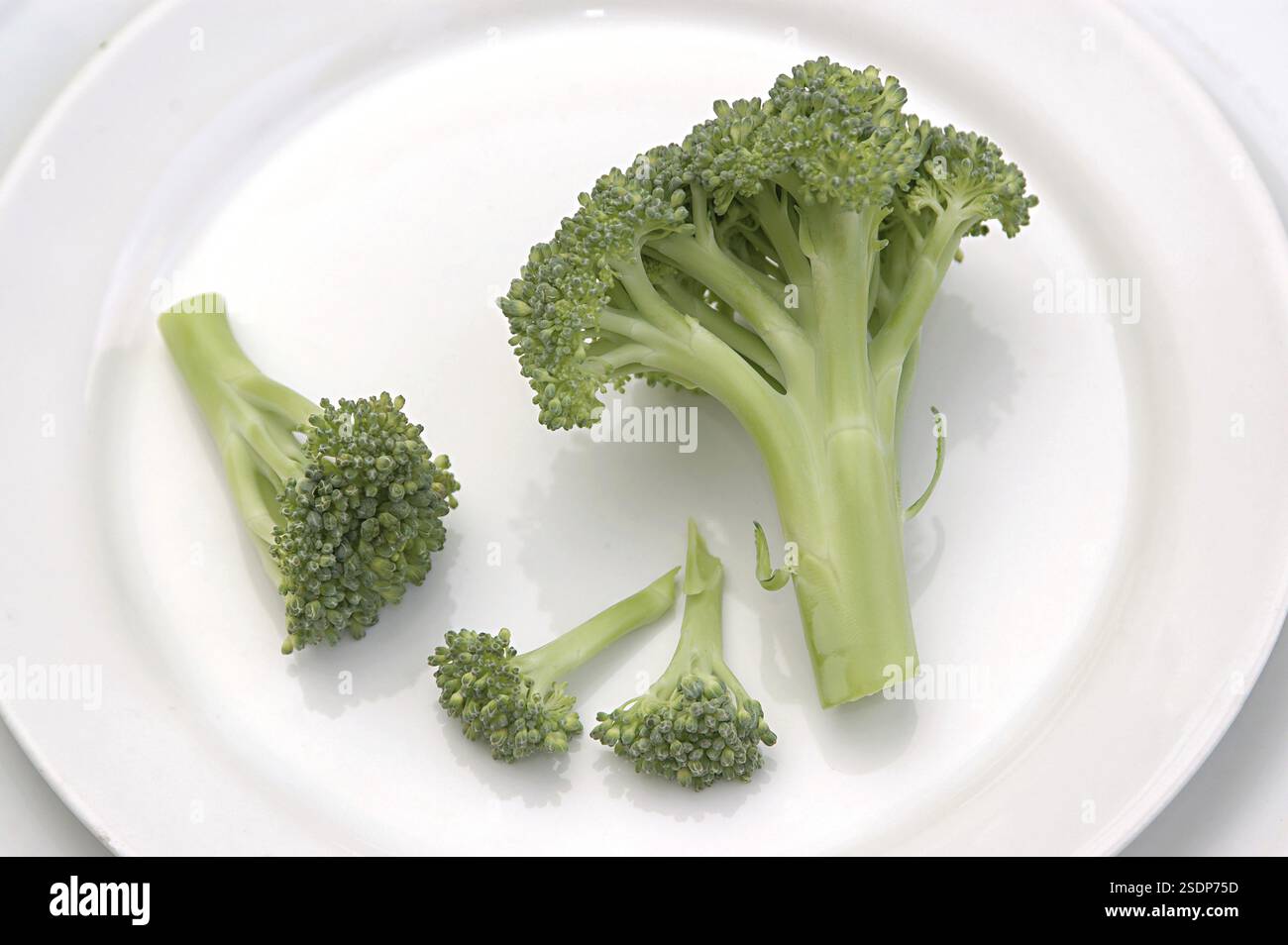 Vegetable Broccoli food, Green plate pieces of Broccoli small Stock ...