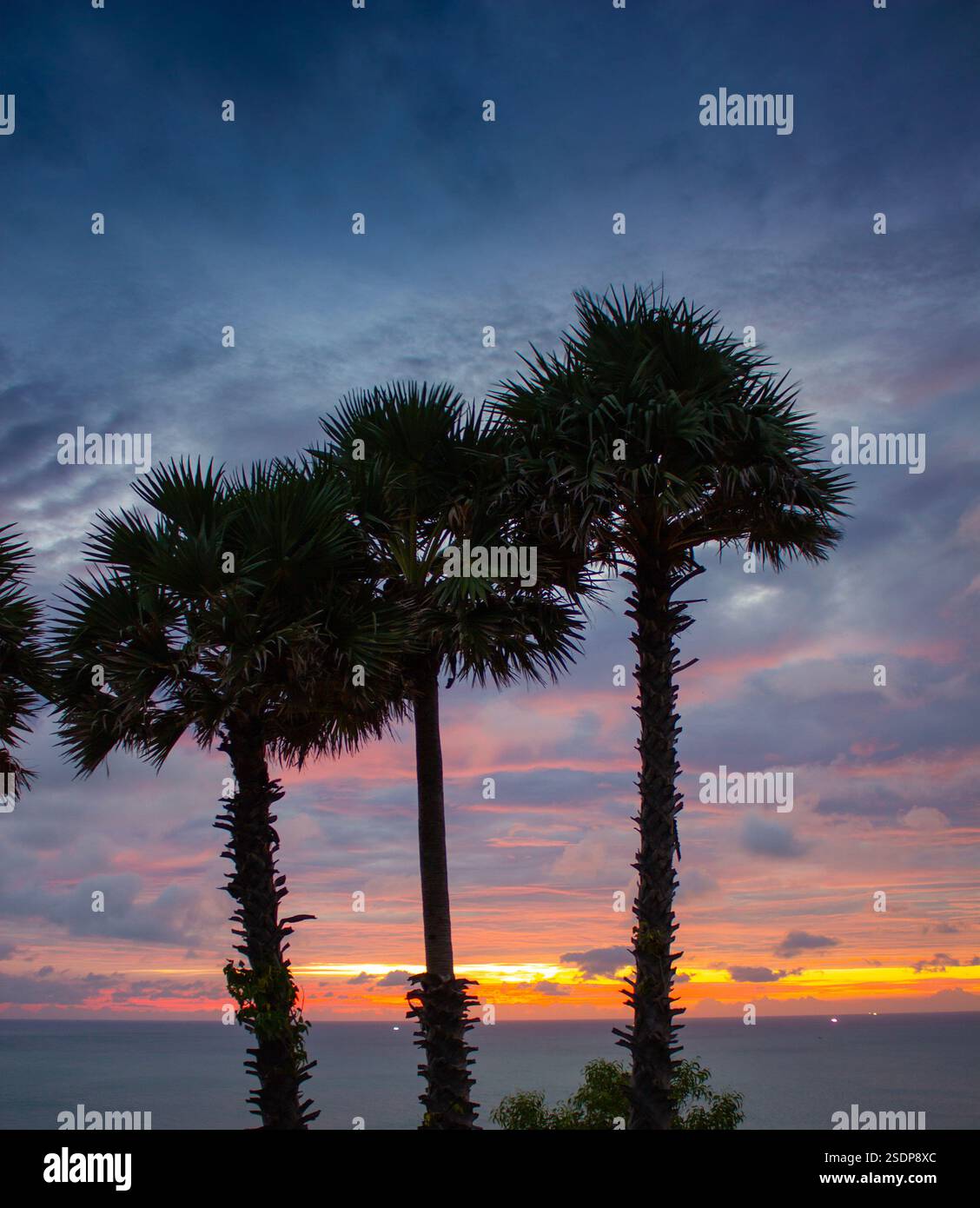 Set among palm trees on the island of Phuket Stock Photo - Alamy