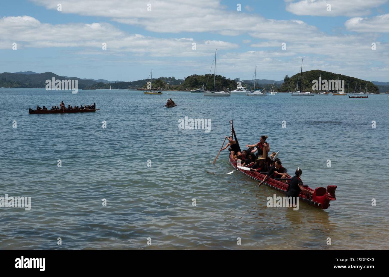 Women paddling traditional Maori waka towards beach during Waitangi Day ...