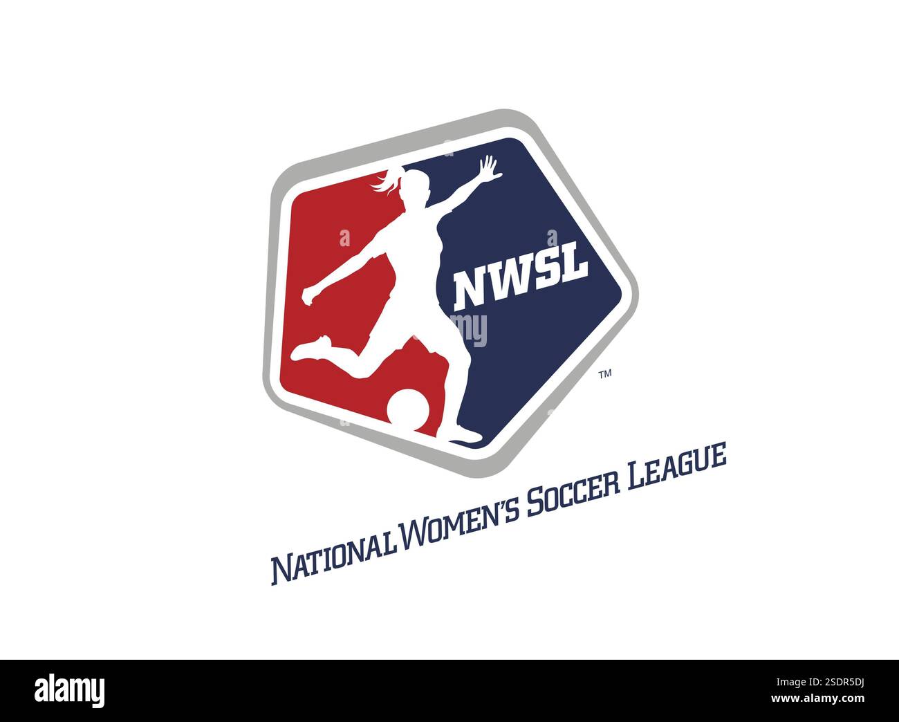 Turned To The Left Logo Of The National Womens Soccer League Sports 9418