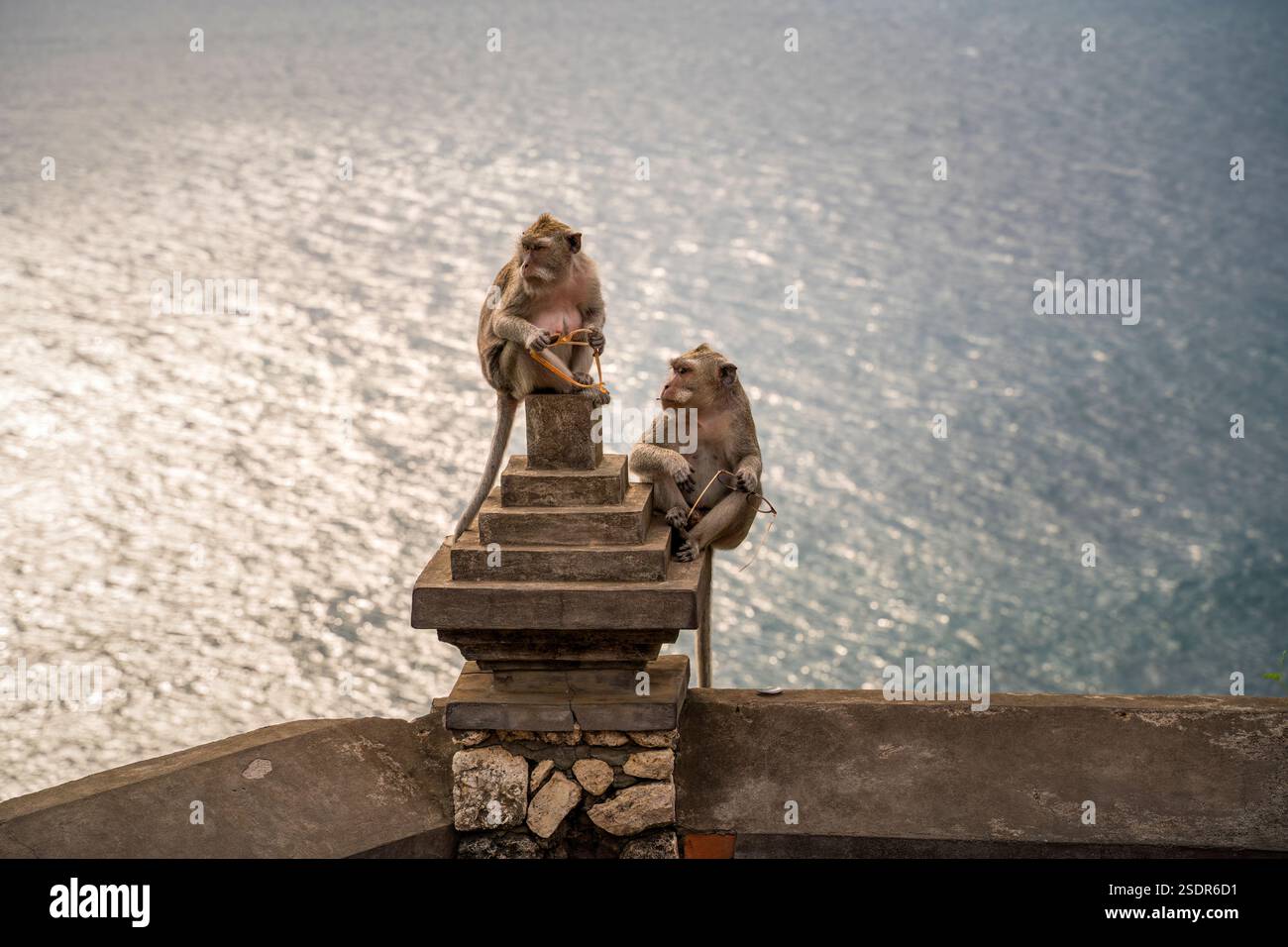 Two monkeys perched on a temple structure in Bali, one holding a ...