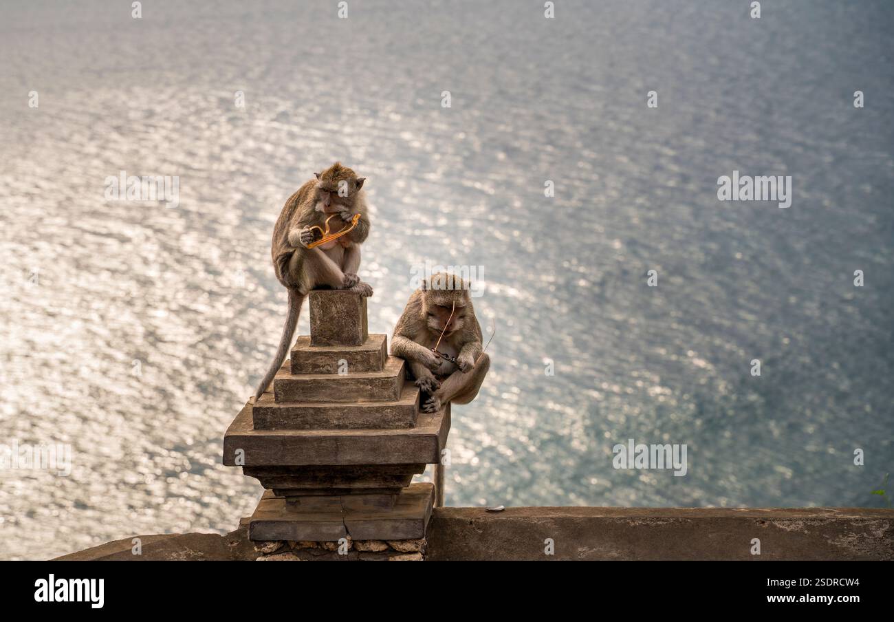 A playful scene unfolds in Bali: two monkeys sit atop a temple element ...