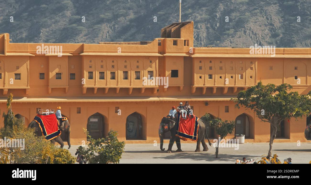 Jaipur, Rajasthan, India. People Tourists ride on elephant along a Amer ...