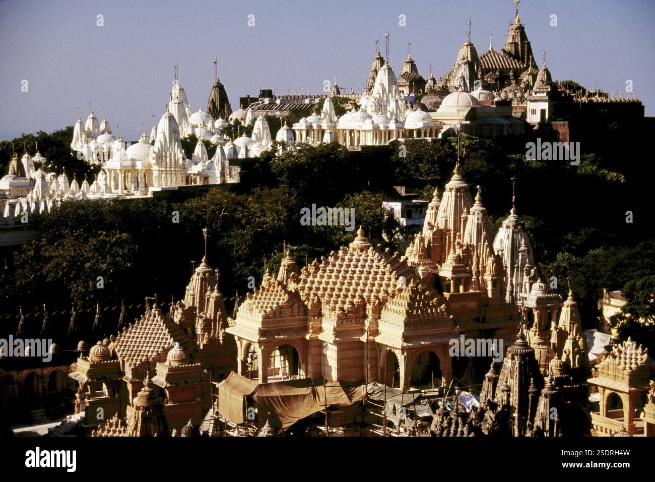 Aerial view of Palitana Jain temples in Gujarat, India, Asia Stock ...