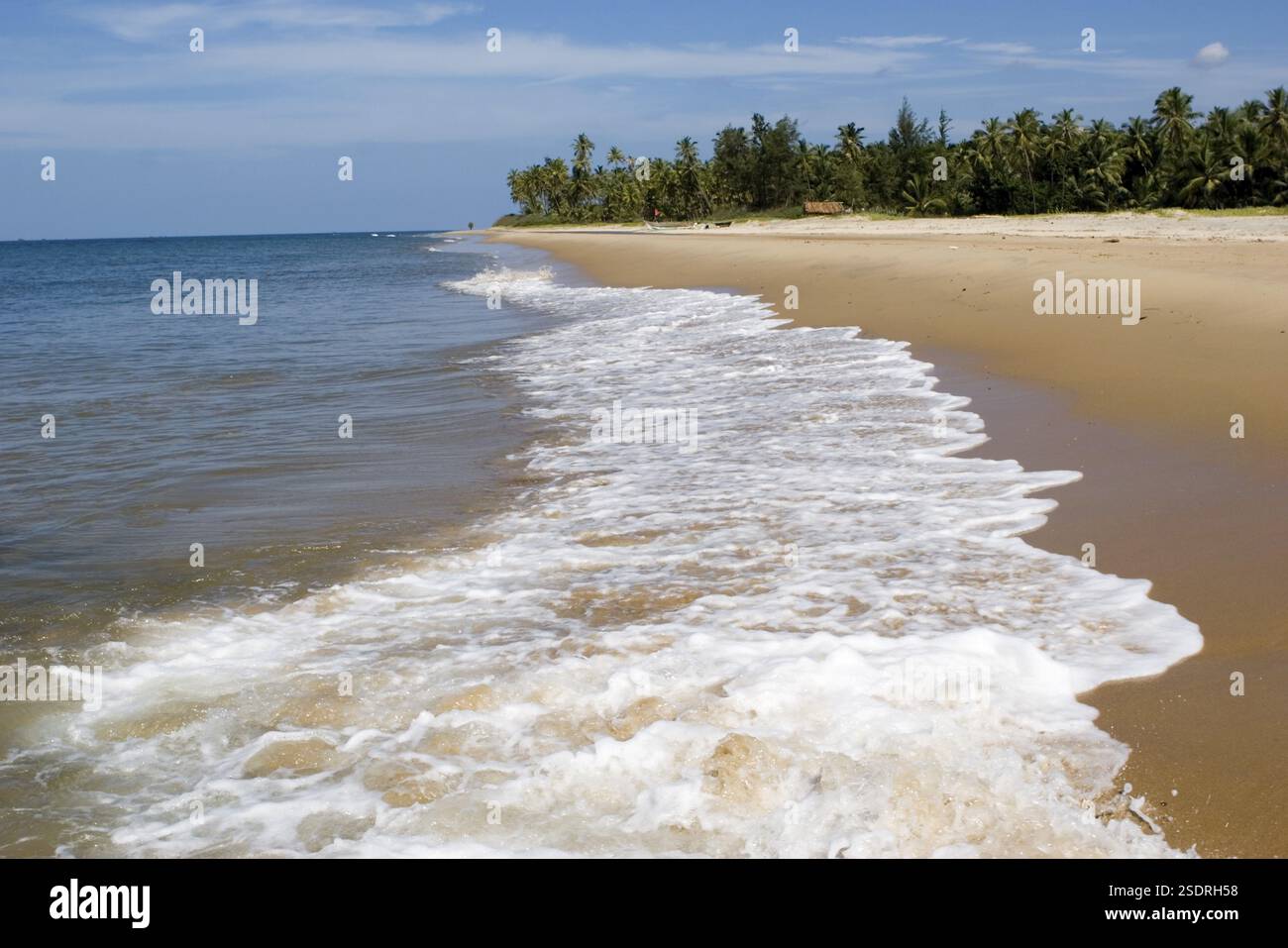 Surf waves on beach, Village Bhogwe, Konkan, District Sindhudurga ...