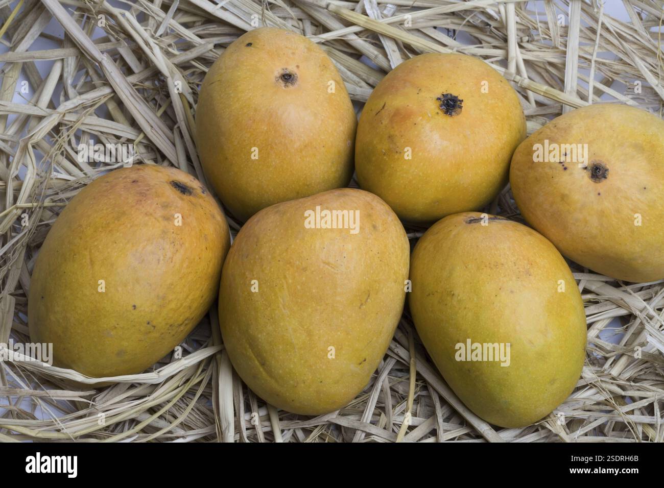 Fruit, Mangoes on grass, Bombay Mumbai, Maharashtra, India, Asia Stock ...