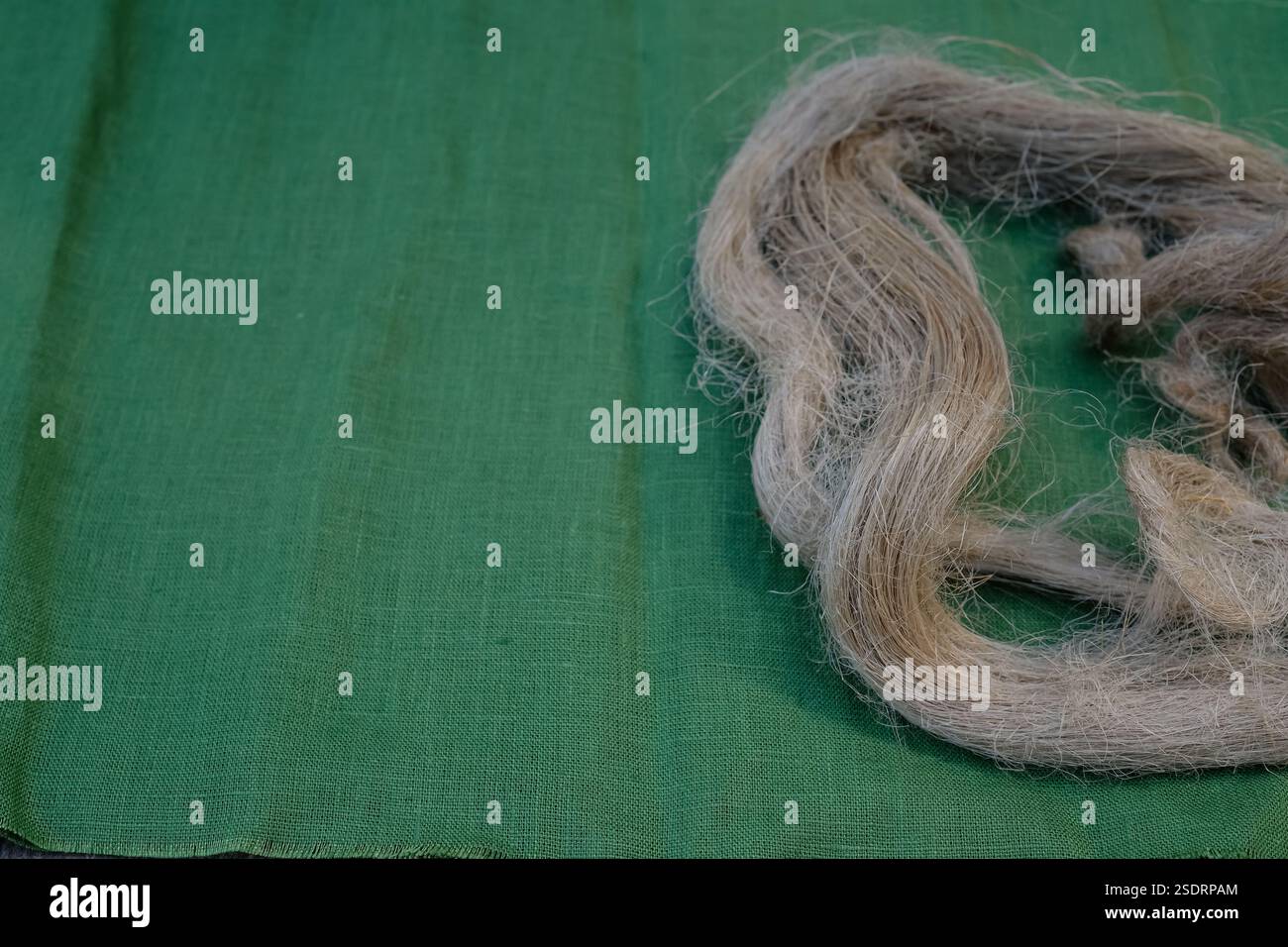 Flax bast fiber. Fibers of natural uncolored flax on the green linen ...