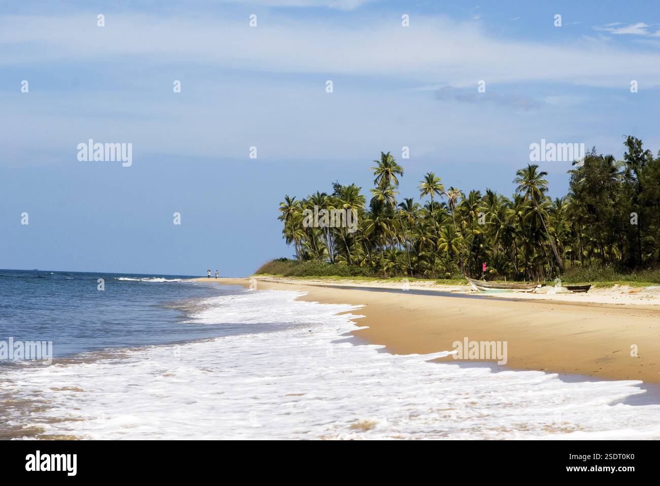 Surf waves on beach, Village Bhogwe, Konkan, District Sindhudurga ...