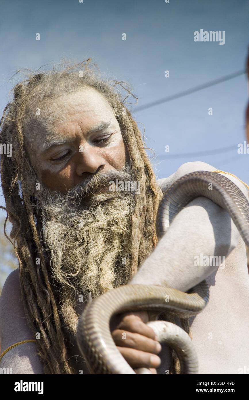 Hindu saint naga baba Shivdasgiri with Kobra snake in Varanasi, Uttar ...