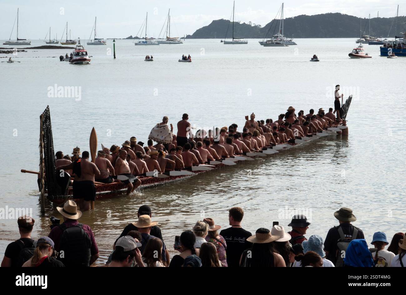 Traditional Maori waka canoe leaving the beach during Waitangi Day ...