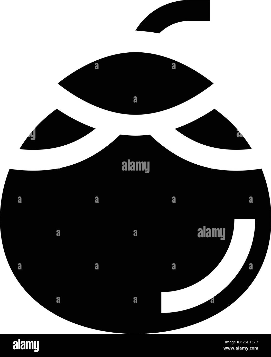 Palmyra palm fruit Black and White Stock Photos & Images - Alamy