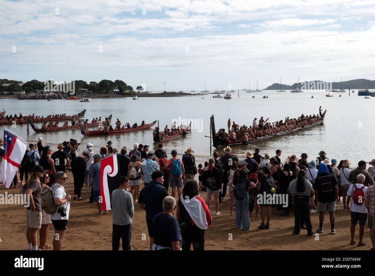 Traditional Maori waka canoes and people performing haka on beach ...