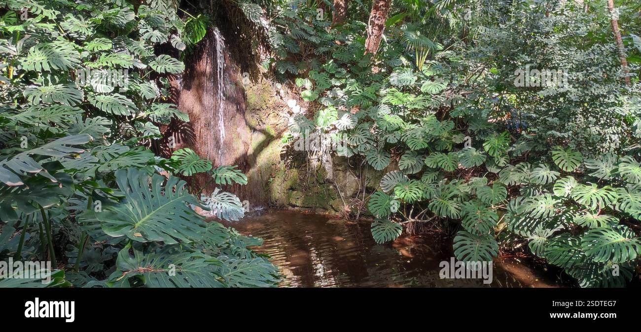 Jardin Botanico La Concepcion, Malaga, Spain - 23rd February 2023 ...