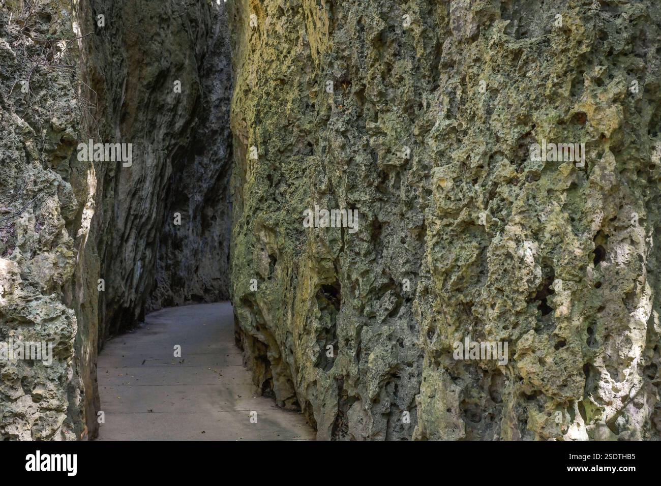 Wanderweg durch Kalkfelsen, ehemalige Korallen-Riffe, Coral Reef Trail ...