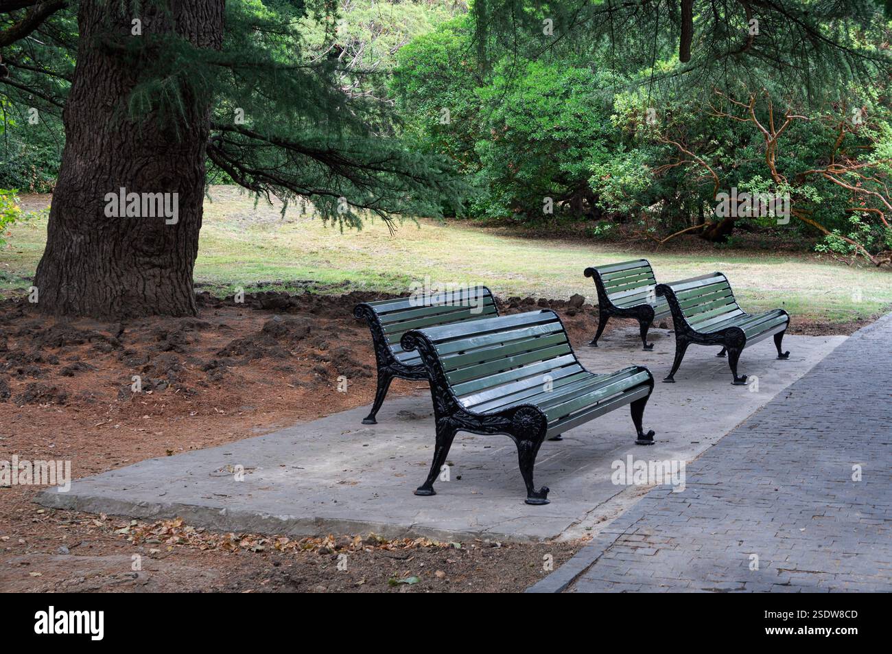 Bench Beauty: The Serene Seating of Urban Parks Stock Photo - Alamy