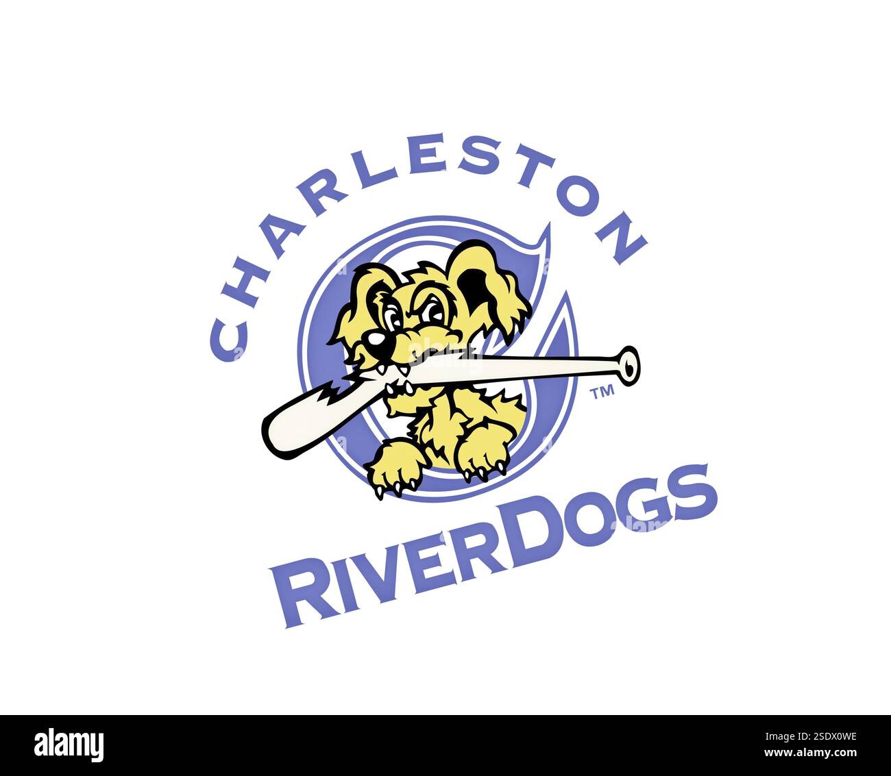 Rotated to left, Charleston RiverDogs Logo 1996, Baseball, Old Logo ...