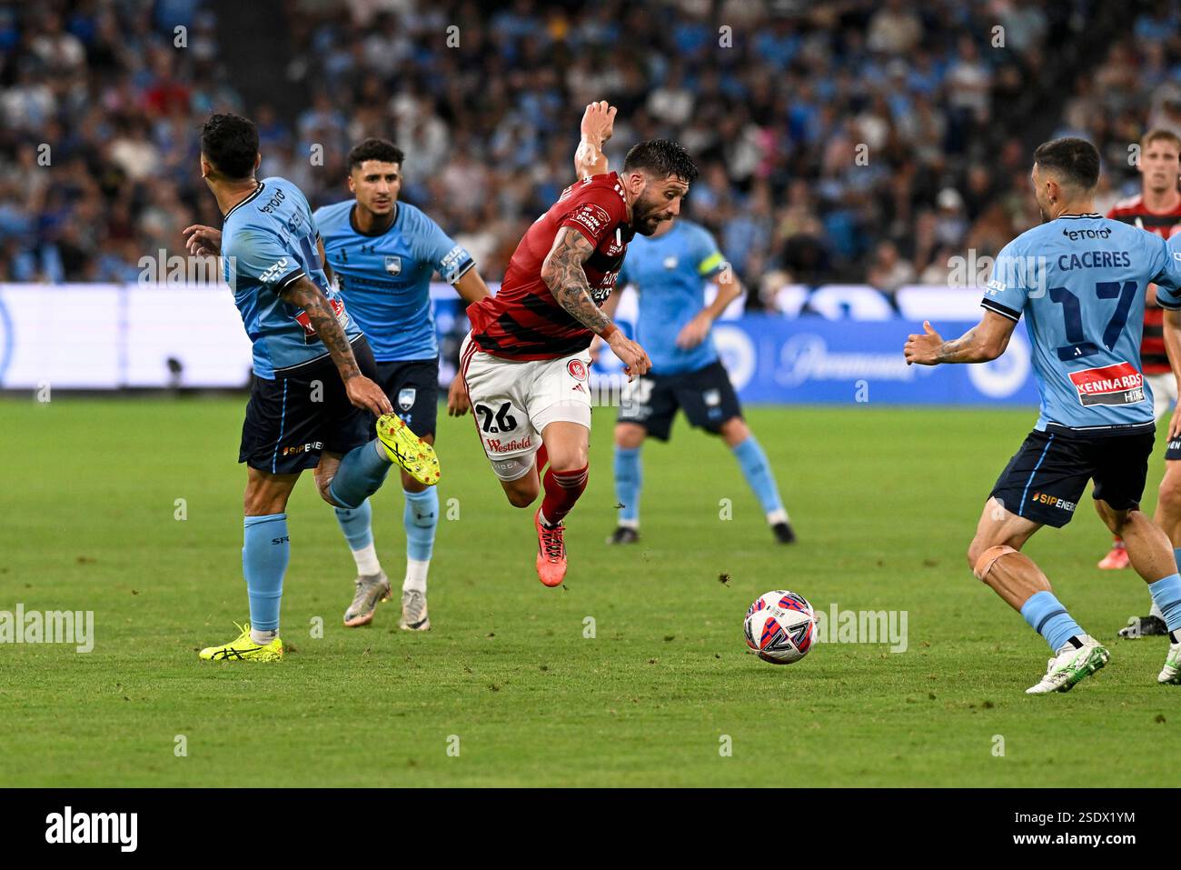 8th February 2025; Allianz Stadium, Sydney, NSW, Australia: A-League ...