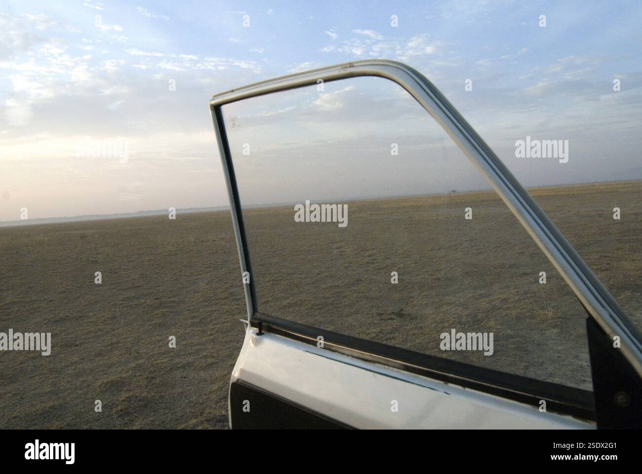 Tal Chhappar Wildlife Sanctuary, Tal Chhappar, Shekhawati Region ...