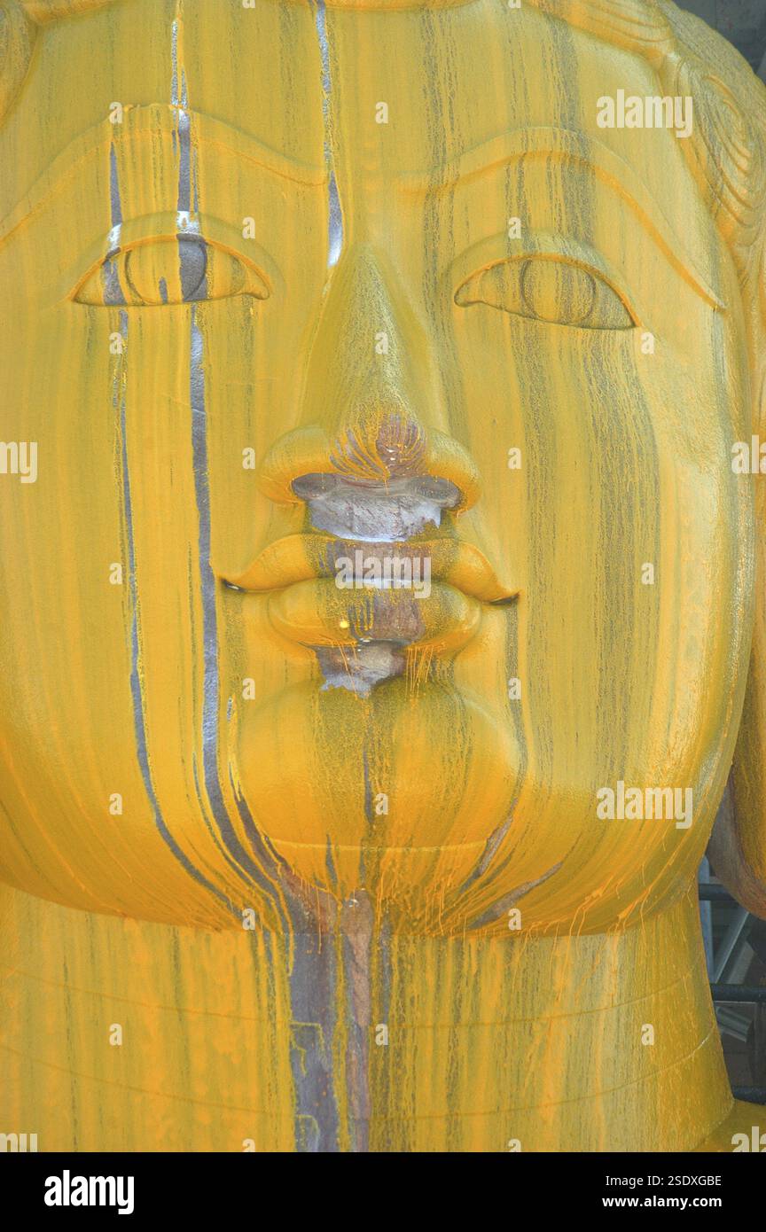 Turmeric water covered face of 57 feet high statue of lord Bahubali ...