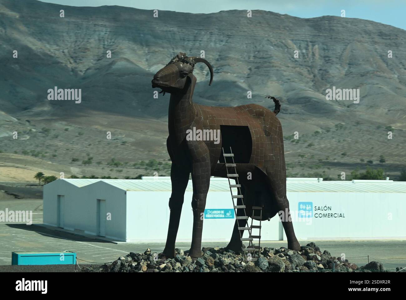 Spanien, Fuerteventura auf den Kanaren. Foto: Ziege aus Metall. Die ...