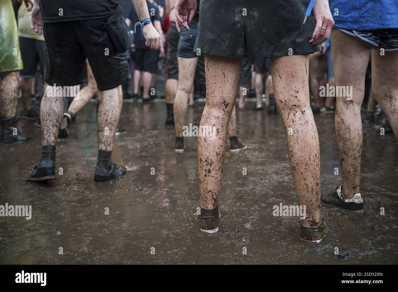 Dirty legs of people dancing in the mud during concert Stock Photo - Alamy