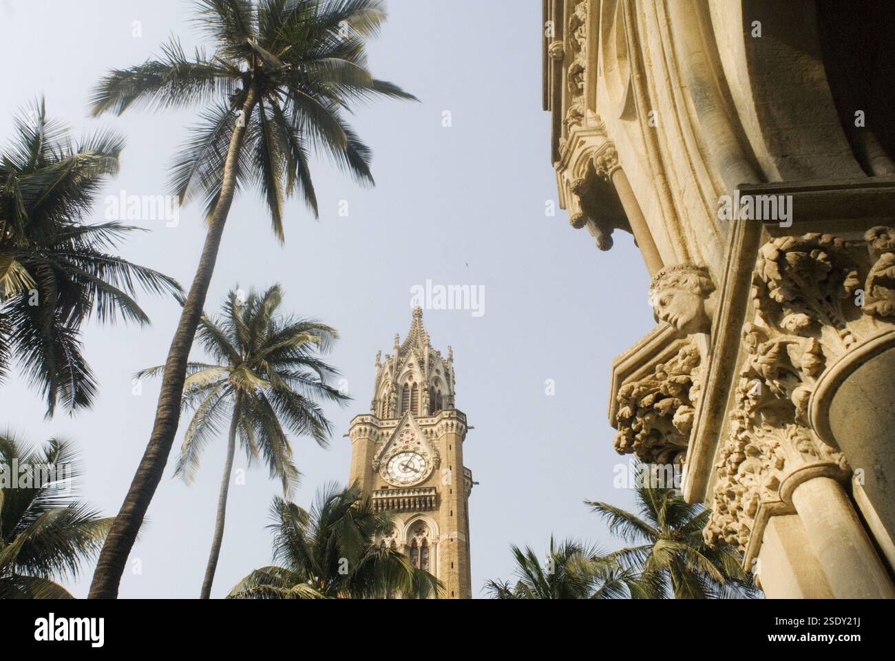 Rajabai Tower an iconic landmark at campus of Mumbai University in ...