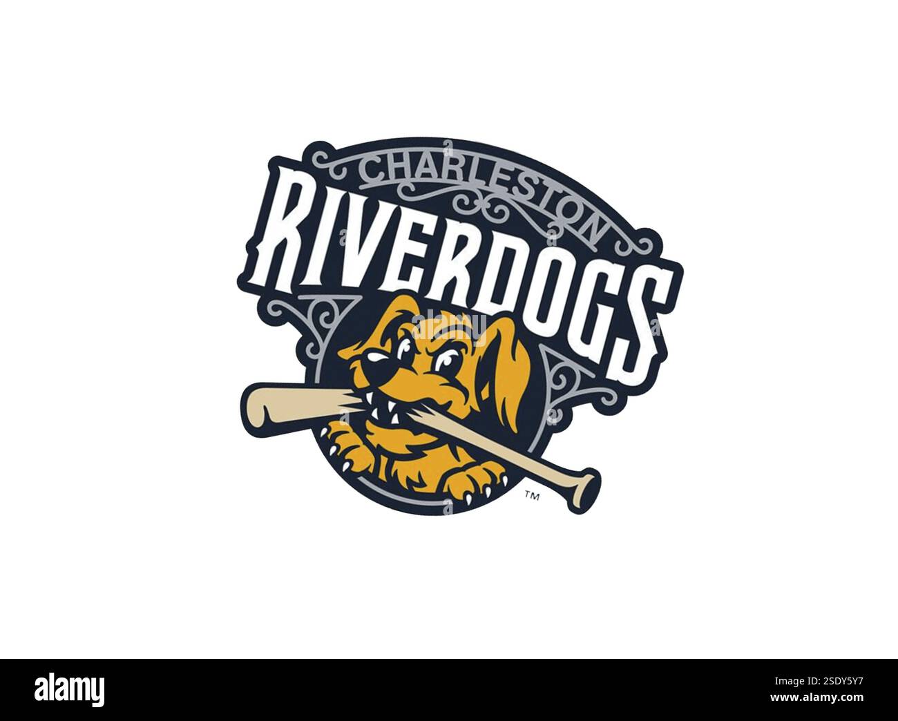 Rotated to right, Charleston RiverDogs logo, Baseball, Logo Stock Photo ...