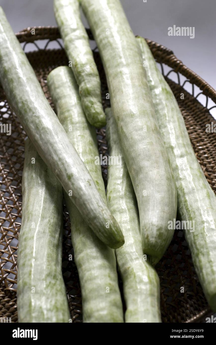 Snake gourd few green fresh long vegetable Stock Photo - Alamy