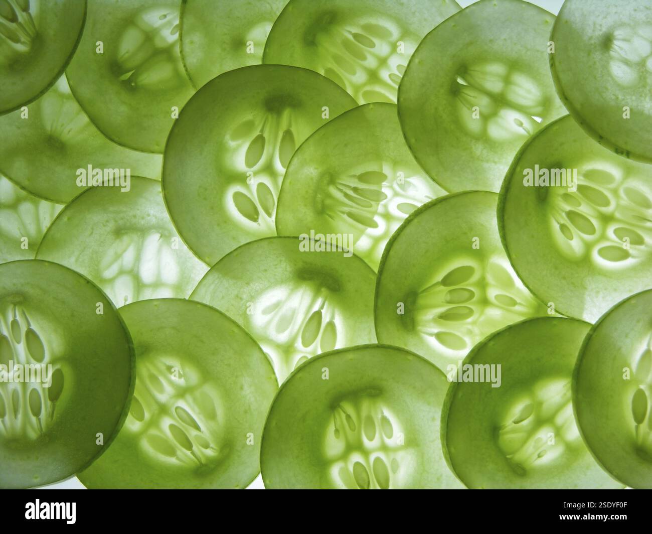 Cucumber slices translucent, green vegetable, India, Asia Stock Photo ...