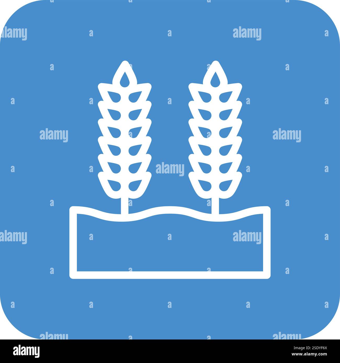Wheat grain Vector Icon Design Illustration Stock Vector Image & Art ...