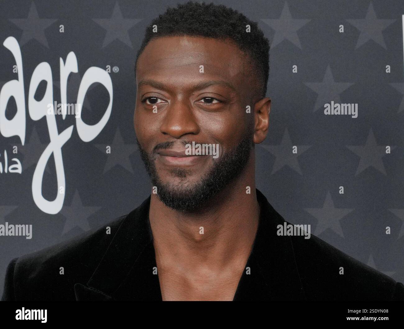 Los Angeles, USA. 07th Feb, 2025. Aldis Hodge arrives at the 30th ...
