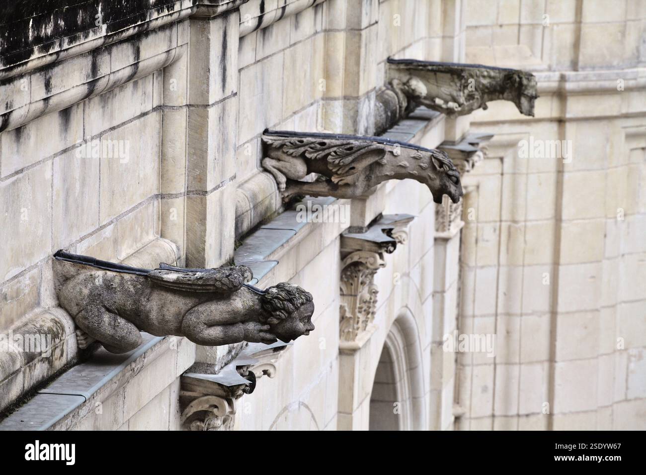 Chambord Castle features intricate stone gargoyles that reflect ...