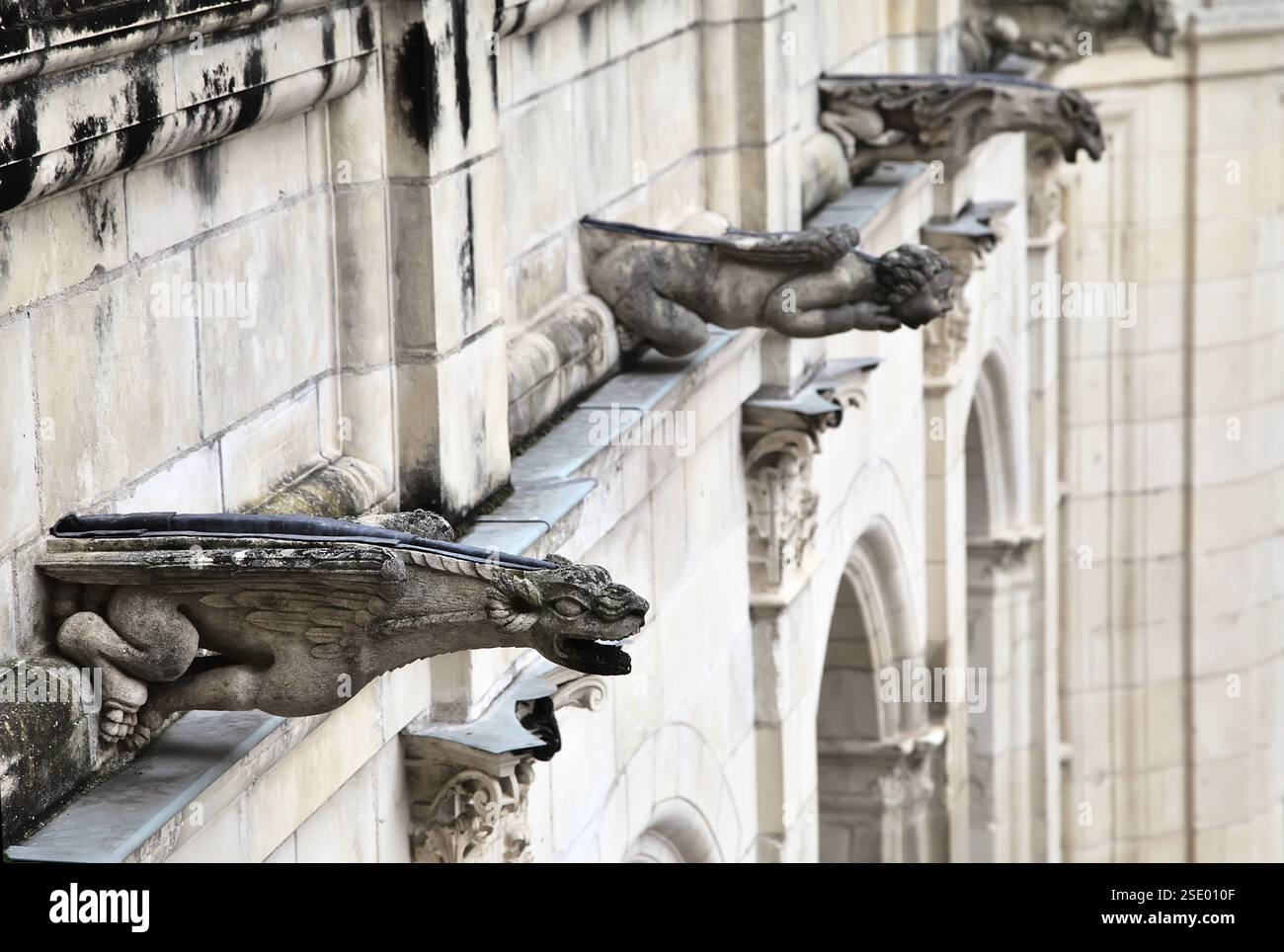 Chambord Castle features intricate stone gargoyles that reflect ...