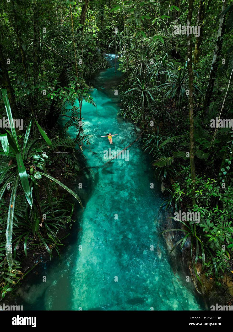 Kalibiru Blue River – Smaragdgrünes Paradies in Raja Ampat Stock Photo ...
