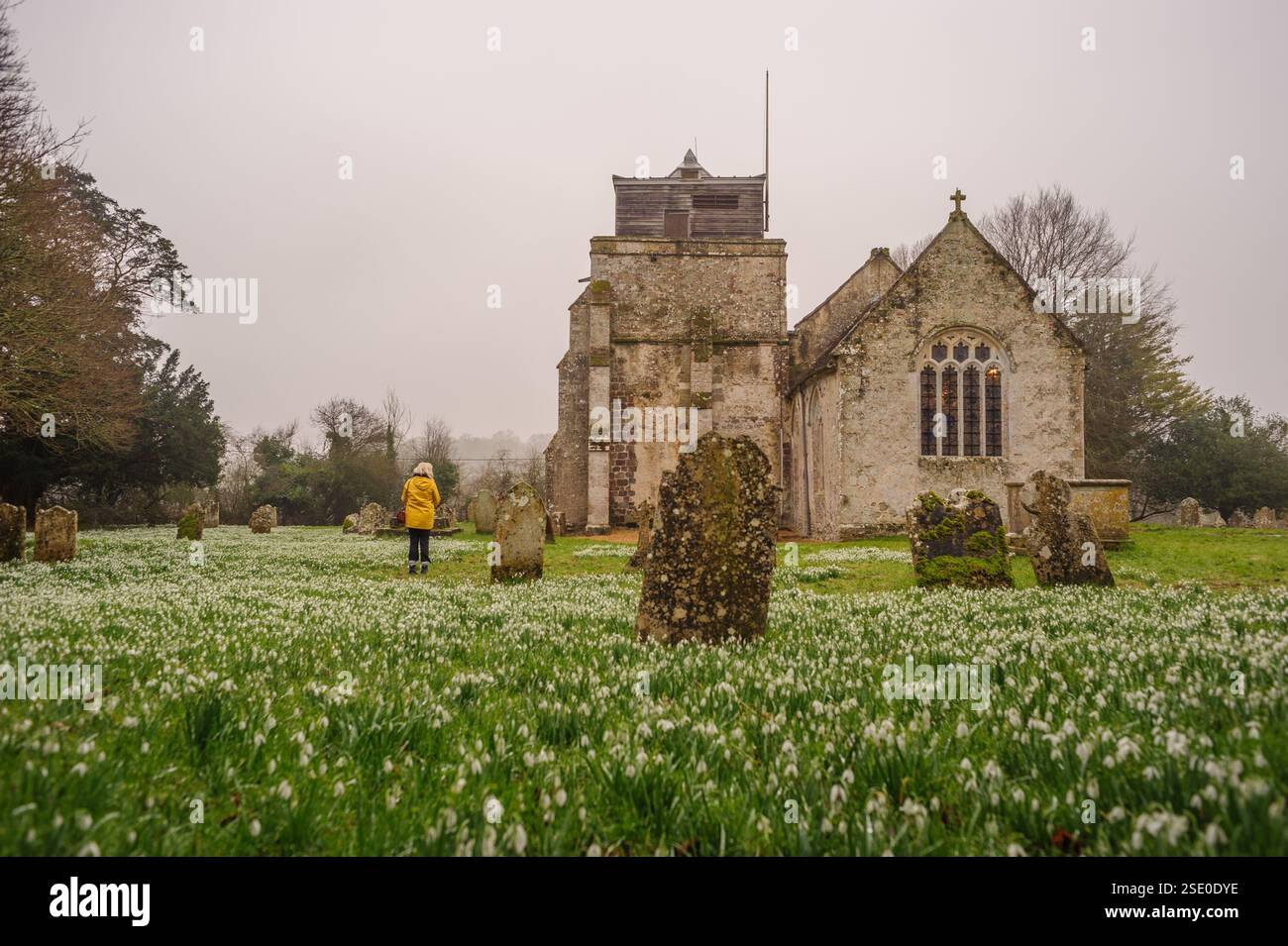 Damerham, Fordingbridge, Hampshire, England, UK, 8th February, 2025, Weather: Cold and grey day ...